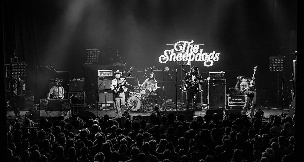 Beard Bands: 8 Bearded Bands and Artists to Listen to Now – Beardbrand